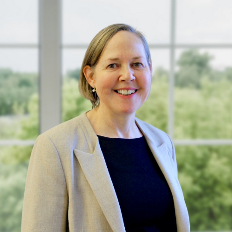 Ellen Lust - Cornell Brooks Public Policy